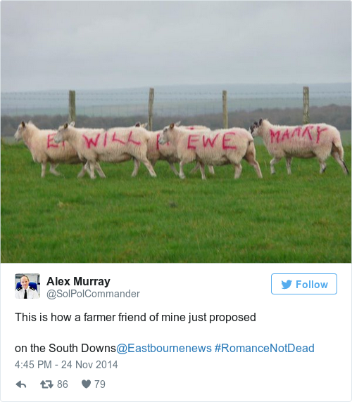 8 puns that could only happen on an Irish farm · The Daily Edge
