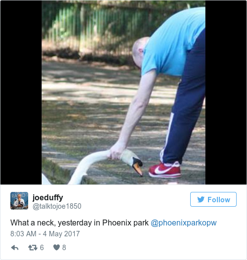 This photo of a man grabbing a swan by the neck was taken in Phoenix ...
