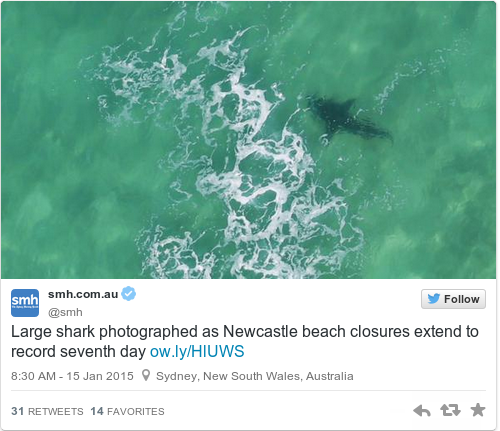 Great White Shark "the size of a car" shuts down Australia beaches for ...