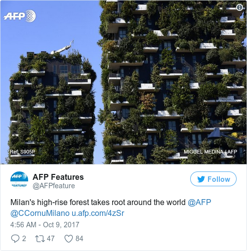 A jungle high above the city streets - living in Milan's elite ...