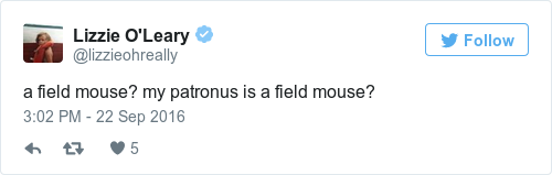 What's the deal with all these 'Patronus' tweets? Here's everything you ...